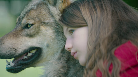 Mystere Le Film Online | emergencydentistry.com