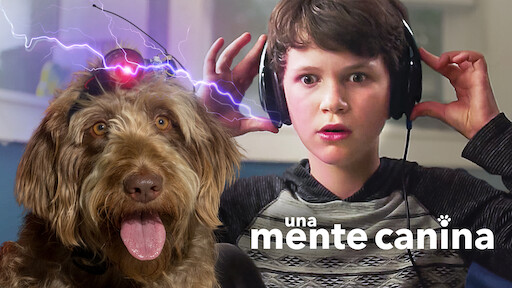 Es Benji El Perro Un Niño O Una Niña